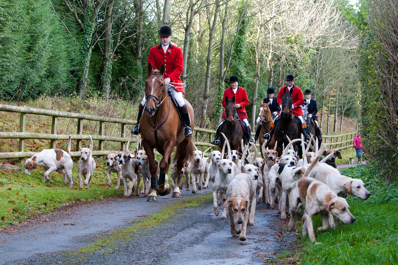 Hunting with the North Herefordshire Hunt | MasterPlan Mountaineering