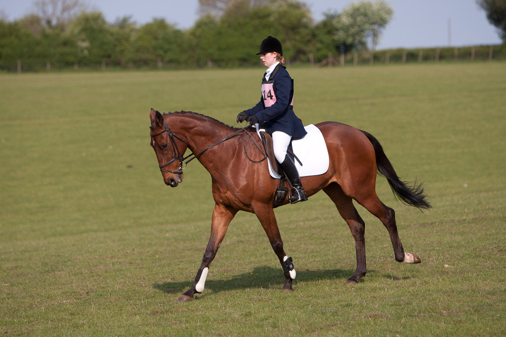 Withington Manor Horse Trails | MasterPlan Mountaineering