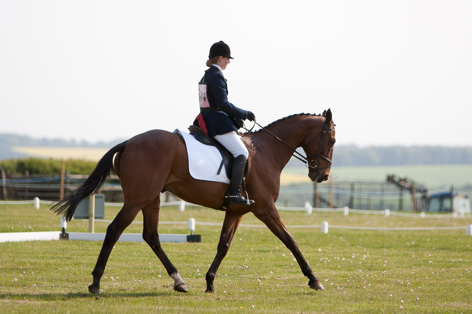 Withington Manor Horse Trails | MasterPlan Mountaineering