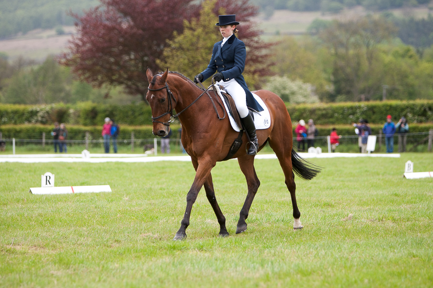 Equestrian Portfolio | MasterPlan Photography